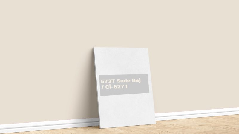 Polisan 5737 Sade Bej Boya Rengi | Boyacıyım