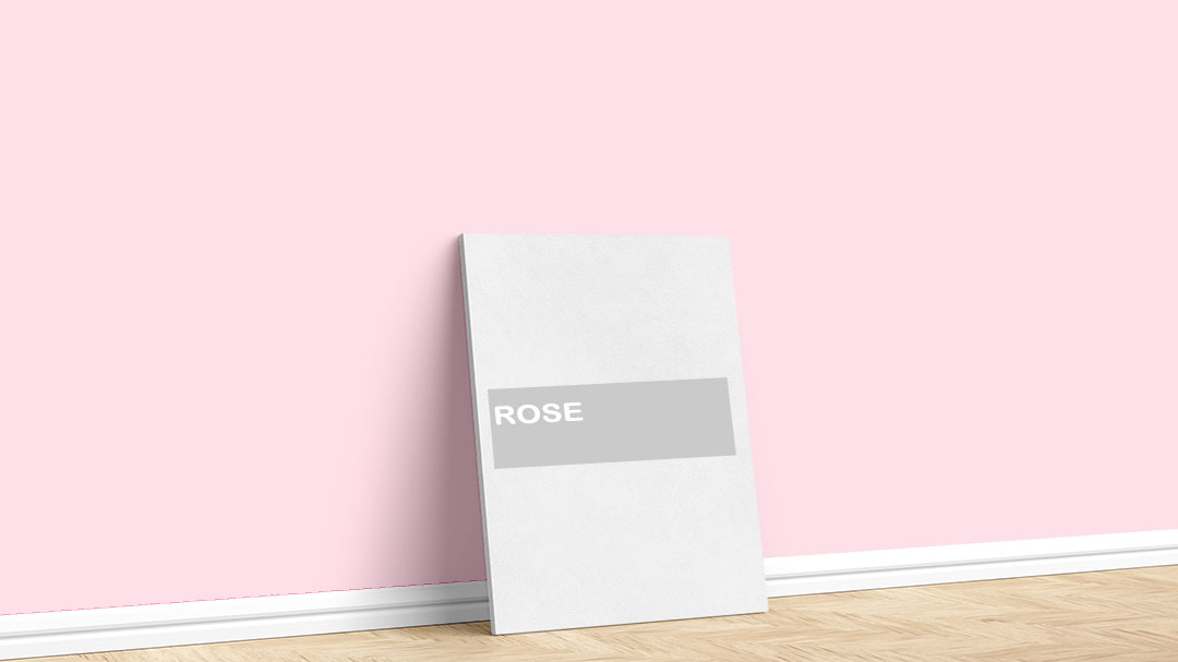 Filli Boya Rose Pembe Boya Rengi | Boyacıyım