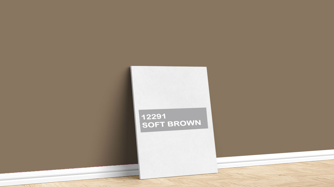 Jotun 12291 Soft Brown Boya Rengi - 2024 Tuval | Boyacıyım